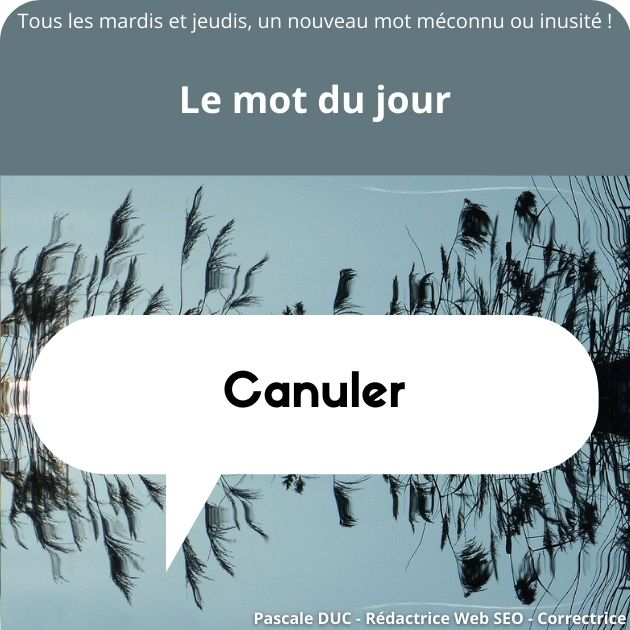 Canuler - Pascale DUC - Rédactrice Web