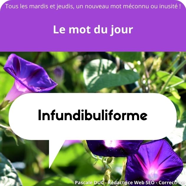 Infundibuliforme - Pascale DUC - Rédactrice Web