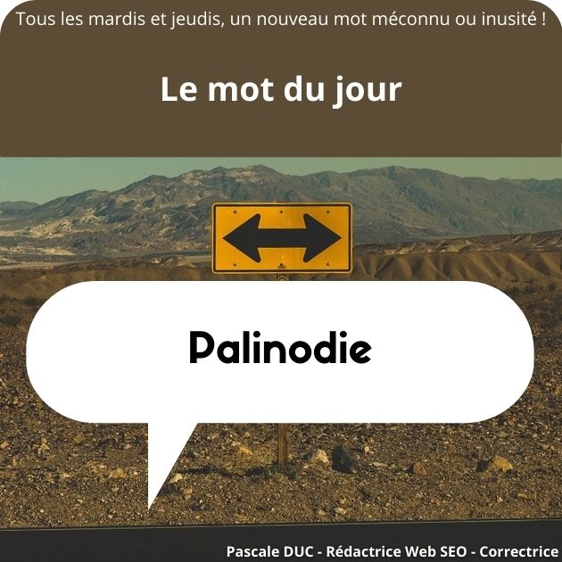 Palinodie - Pascale DUC - Rédactrice Web