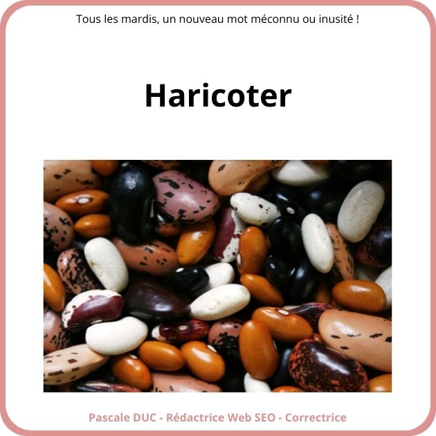 Haricoter - Pascale DUC - Rédactrice Web